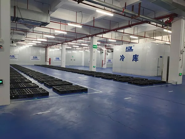 Company Overview - Nanchang Kindly Medical Technology Co., Ltd.