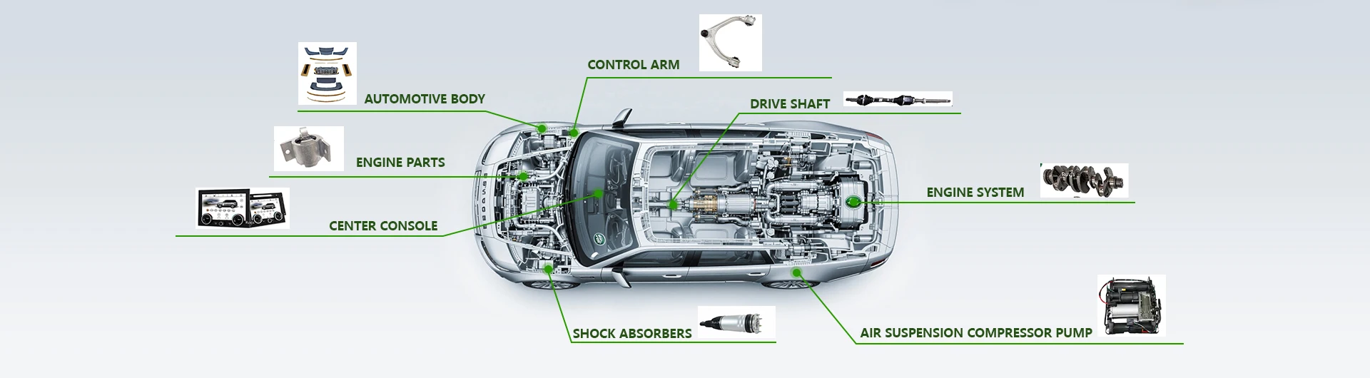 Company Overview - Guangzhou Yunhai Import And Export Co., Ltd