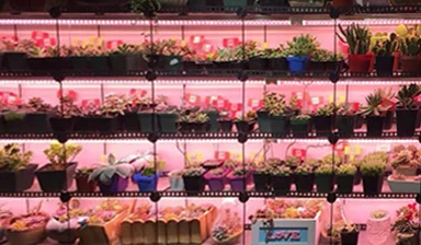 Zhongshan Guzhen Boyu Lighting Electronics Factory - LED Daylight Tube ...