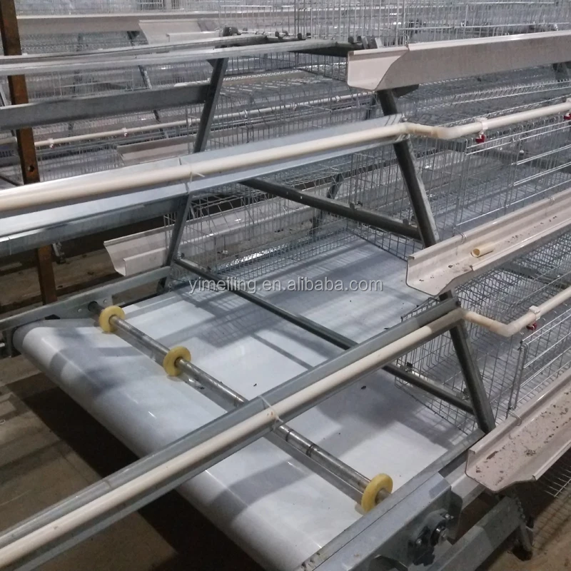 Manure Belt Conveyor for Poultry Farm Equipment - Durable Anti-Aging ...
