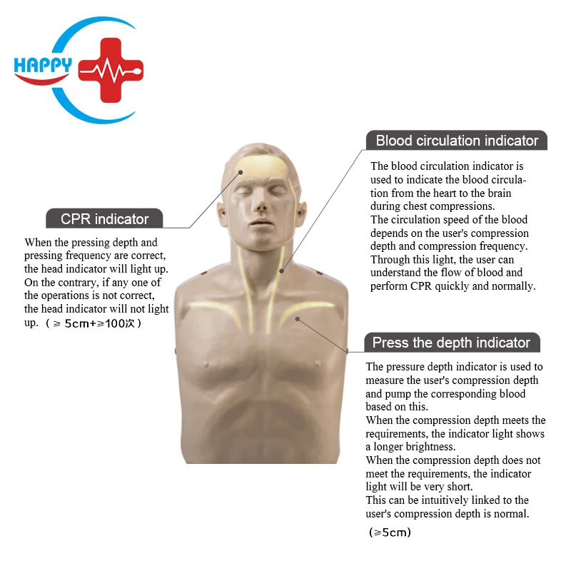 Hc-s003 Blood Visualization Cardiopulmonary Resuscitation Simulator ...