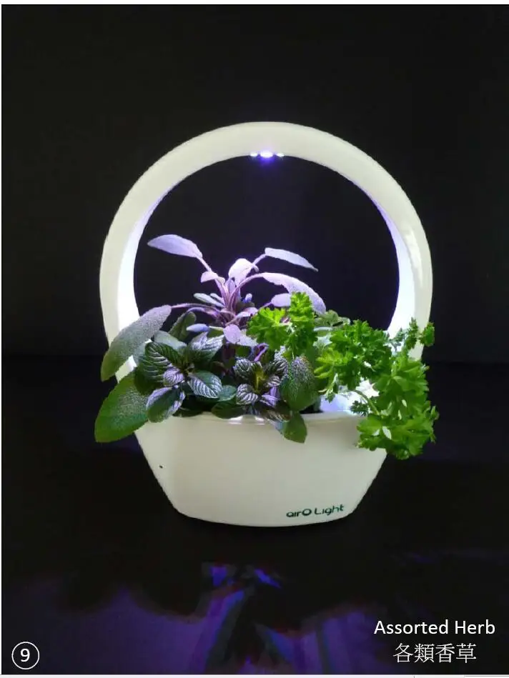 Led Flower Pot Smart Design Indoor Outdoor Garden Illuminated Led ...