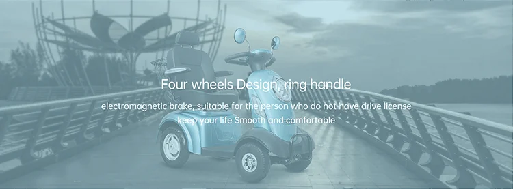 SPRITE-2 Electric Tricycle - 150kg Load-Bearing & Magnetic Brake