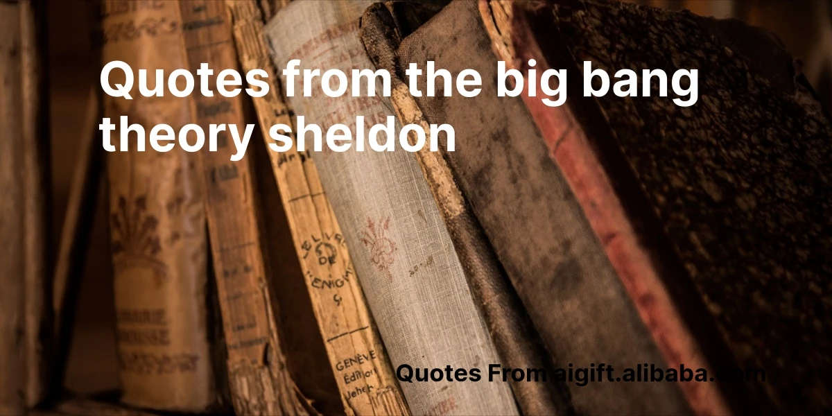 Quotes from Sheldon on The Big Bang Theory