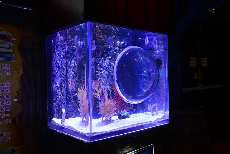 Customized Clear Big Rectangle Acrylic Aquariums - Buy Aquariums ...