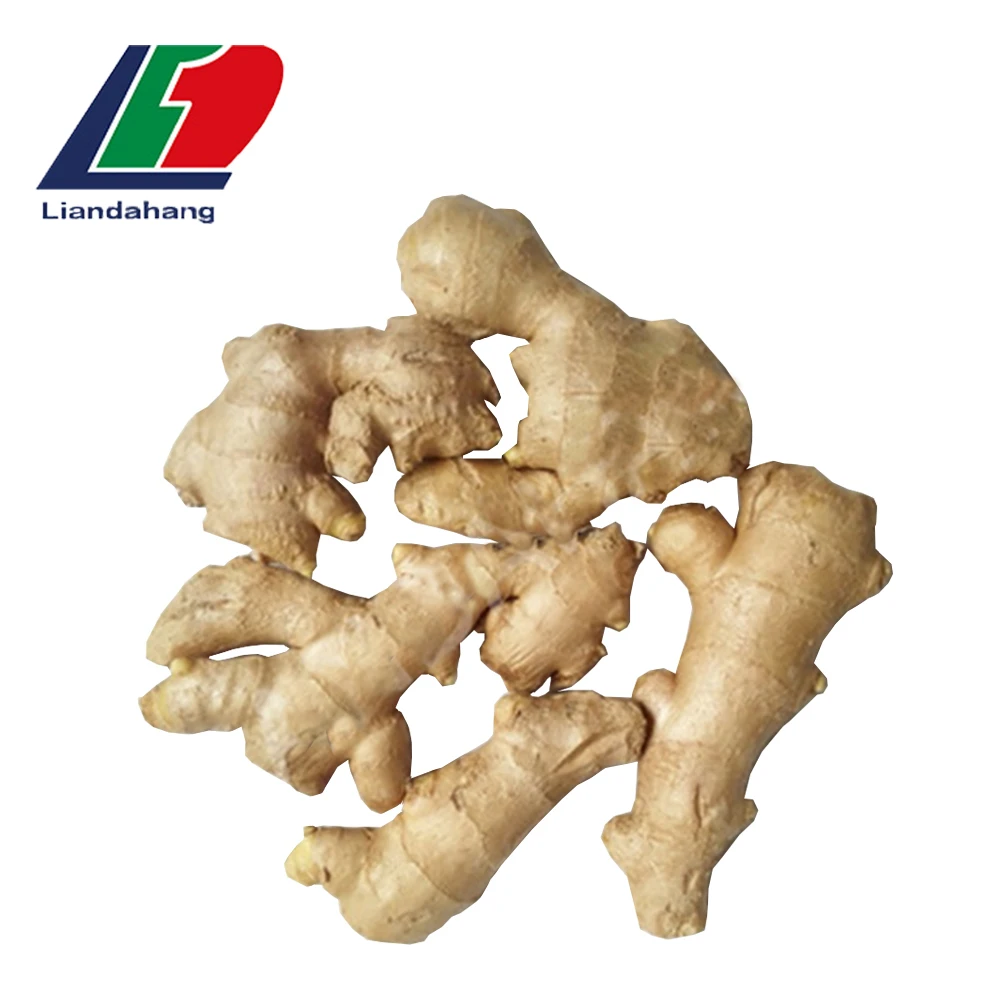 Haccp/ Halal/ Kosher Dried Ginger Flakes - Buy Dried Ginger,Ginger ...