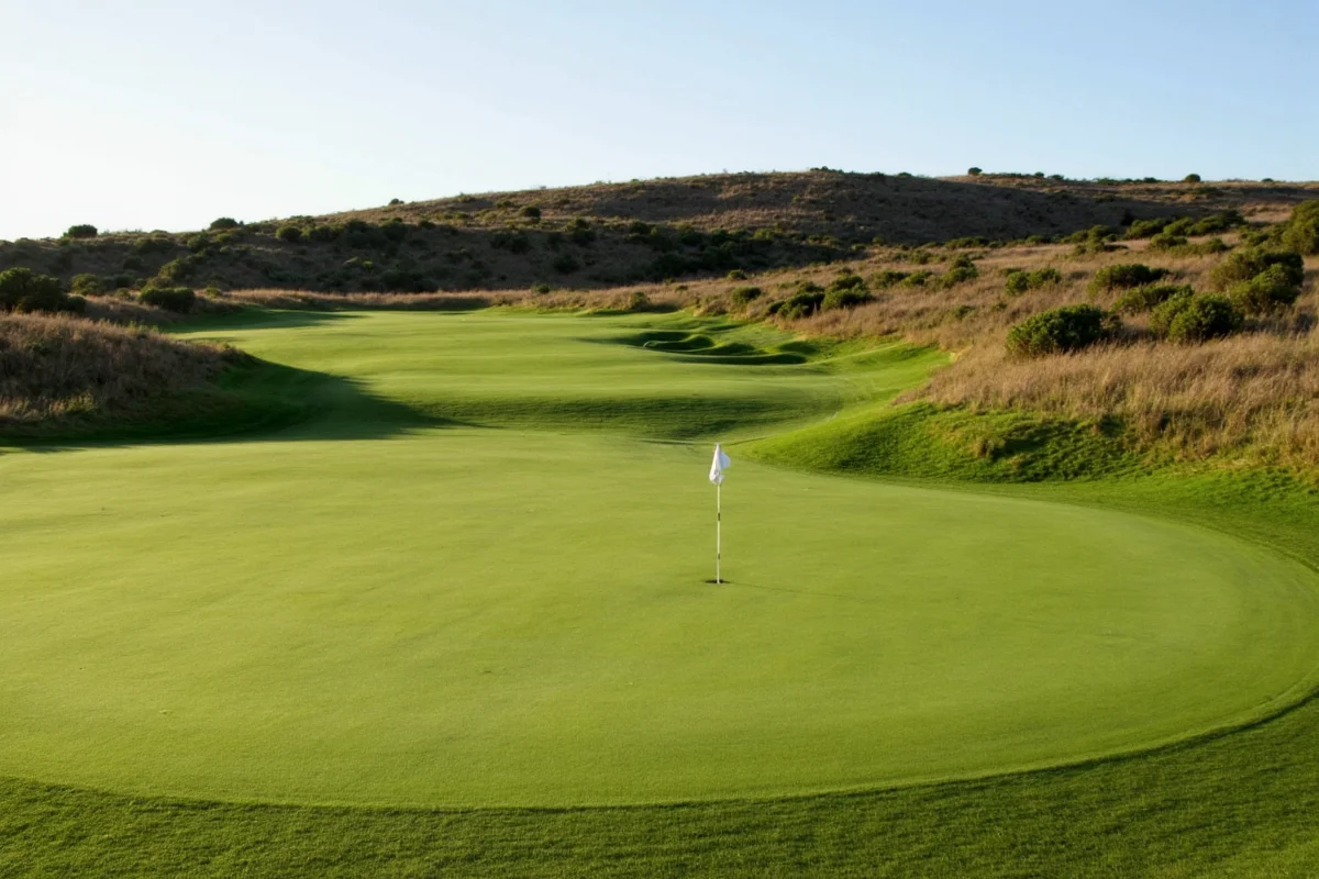 What Are the Major Tournaments in Golf? The Big Four Explained