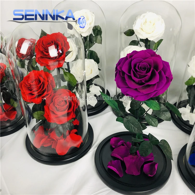 Chinese Red Preserved Rose Stem In Glass 10cm Huge Rose Bud Single Rose ...