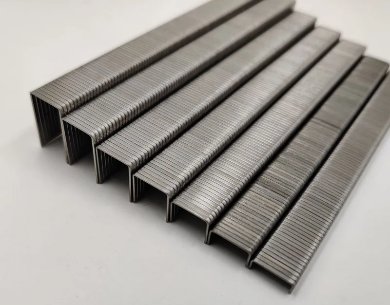 4mm 10mm Stainless Steel 304 U Type Nails for Furniture