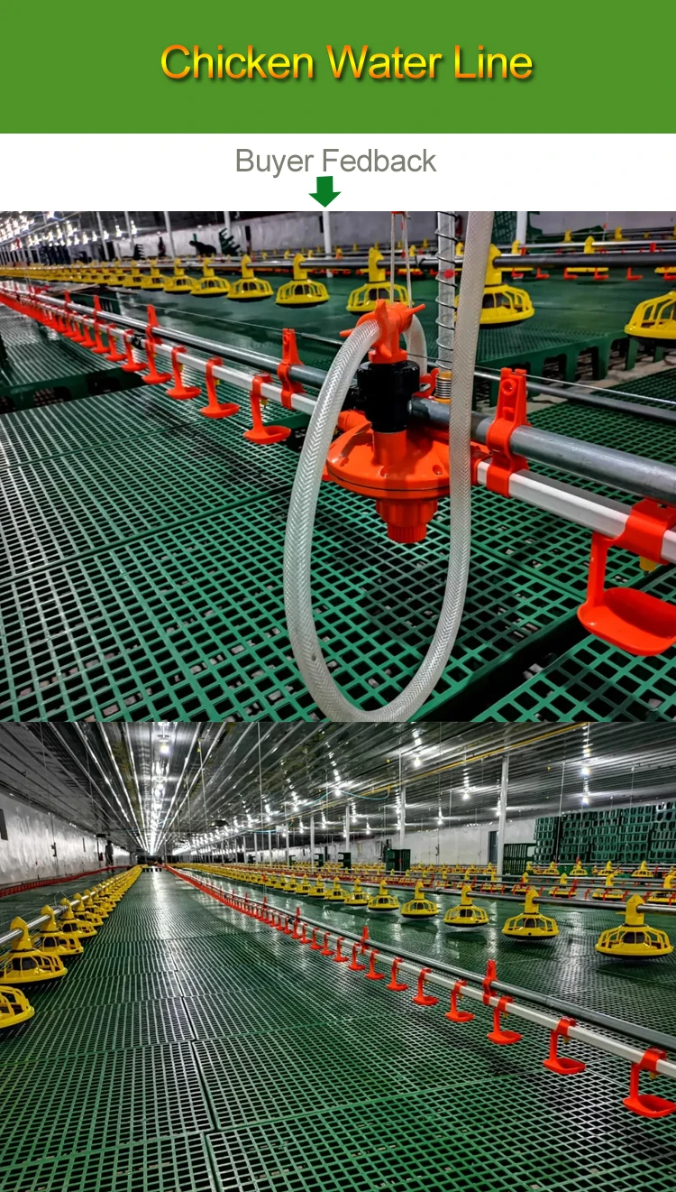 Poultry Nipple Drinking System - Efficient Water Line