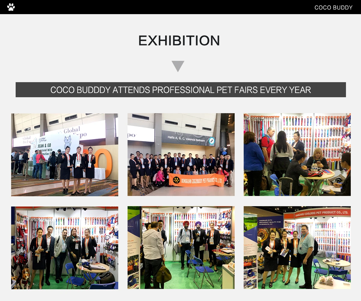 Company Overview - Dongguan Coco Buddy Pet Product Co., Ltd.