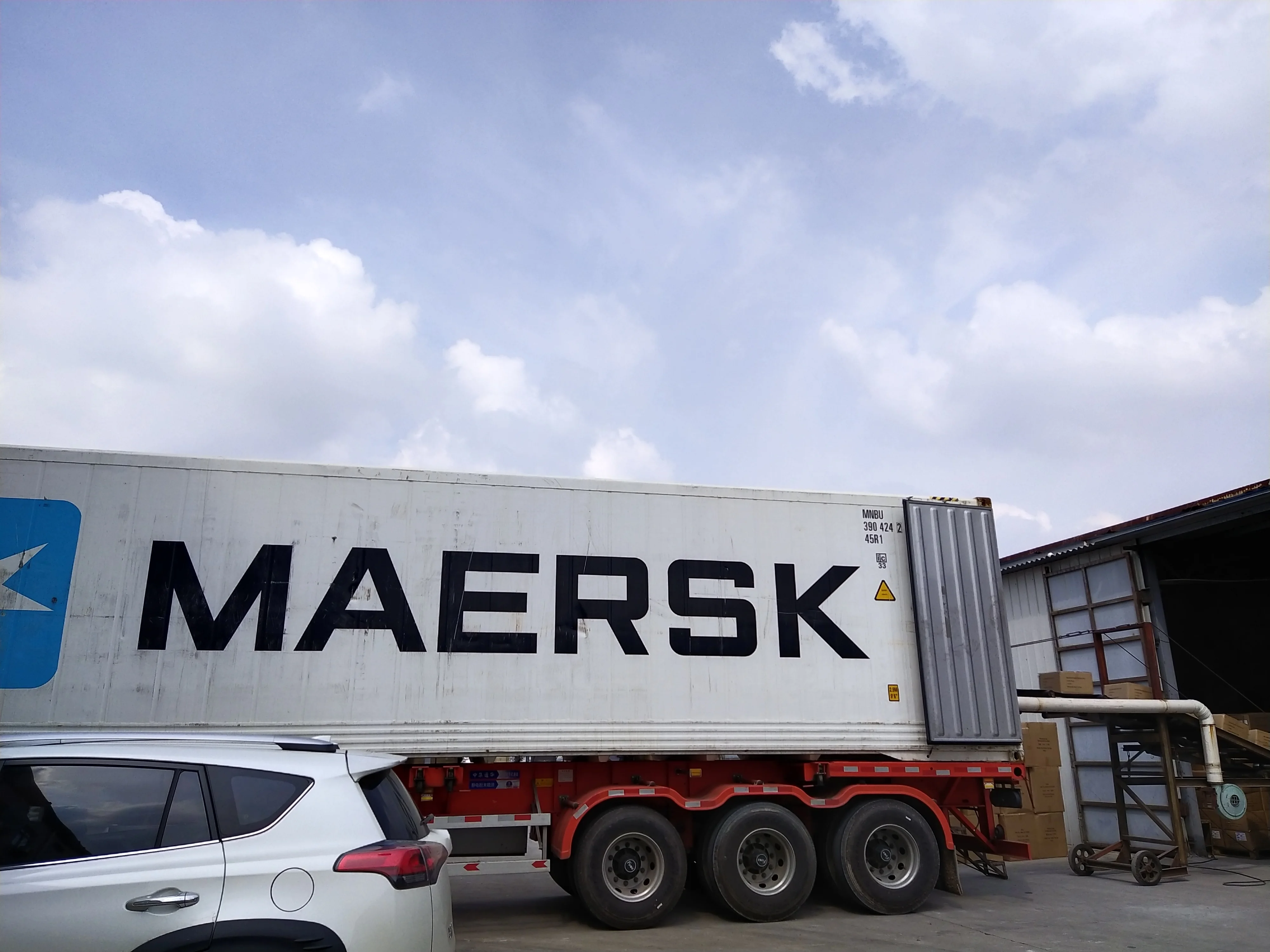 80cm Giant Hopper Ball - Ultimate Bouncy Fun for All Ages