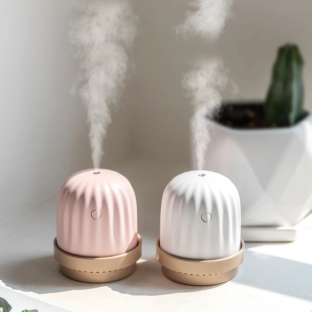 Cactus 260ml Rechargeable Battery Air Cleaner Fresh Air Humidifier Mini ...