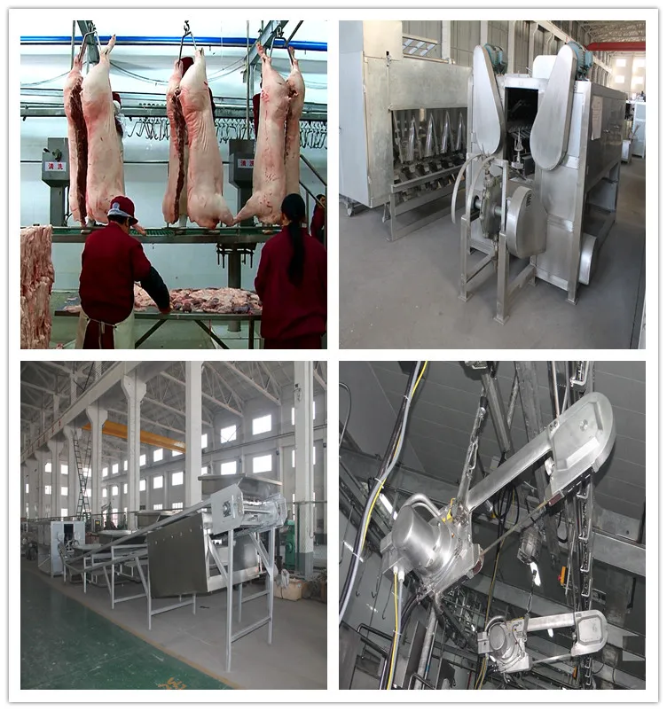 High Automatic Pig Slaughtering Line for Slaughterhouse