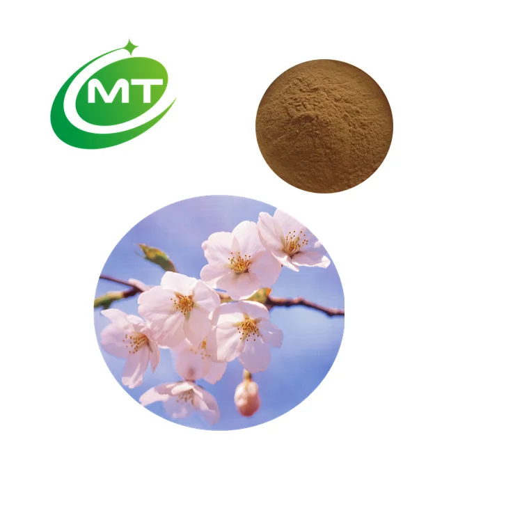 Organic Sakura Extract Powder Anti-glycation Cherry Blossom Extract ...