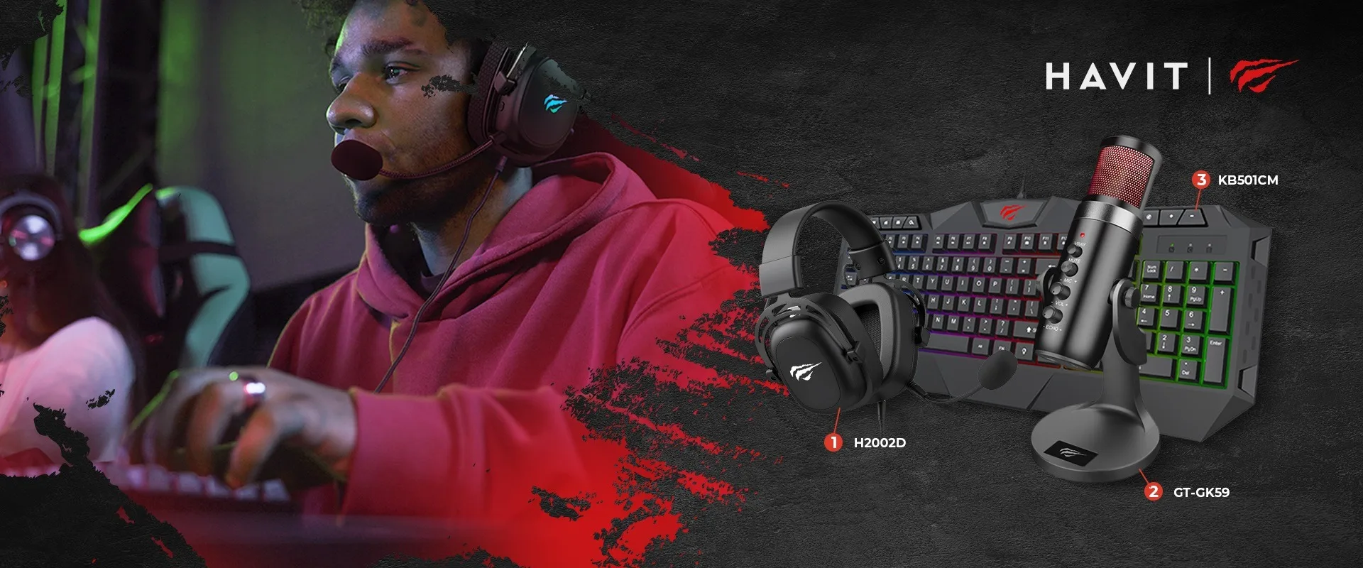 Guangzhou Havit Technology Co., Ltd. - Gaming Series, Audio Series