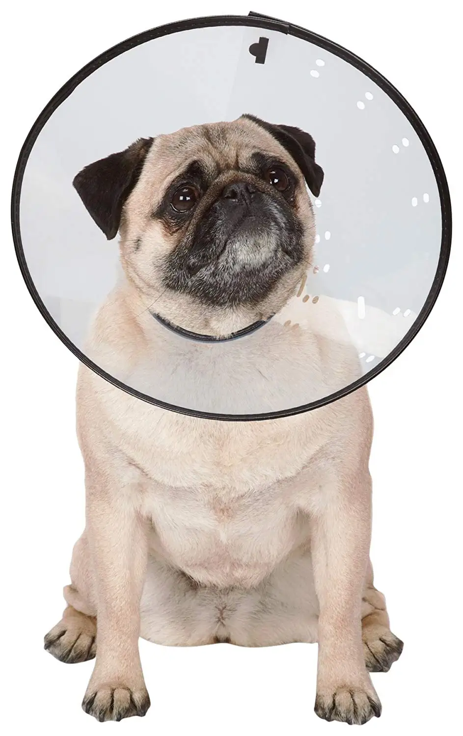 Adjustable Dog Elizabeth Collar With Soft Edge Dog Neck Cone Recovery ...