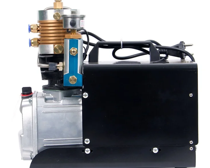 Pcp Elektrischen Kompressor 4500 Psi 300 Bar Für Pcp Luftgewehr - Buy ...