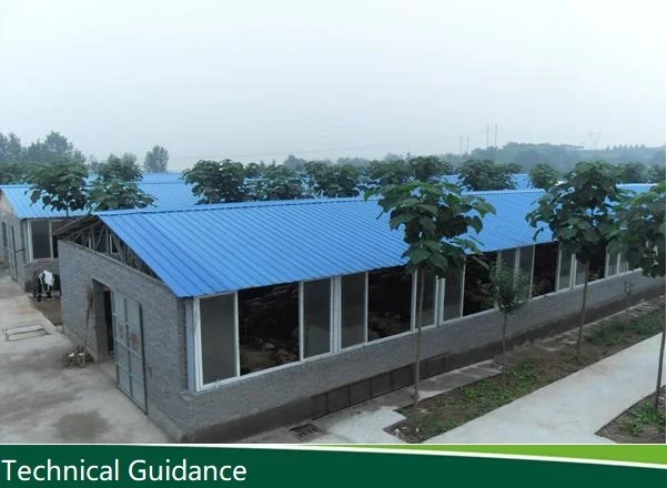 Economics of Goat Sheep Farm Design - Profitable Farming