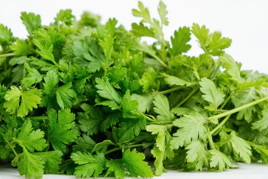 Growing Parsley in Containers: Simple Steps for Small Spaces