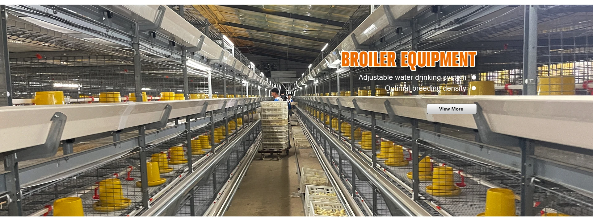 Shandong Tobetter Machinery Co., Ltd. - H Type Laying Hen Equipment, A ...