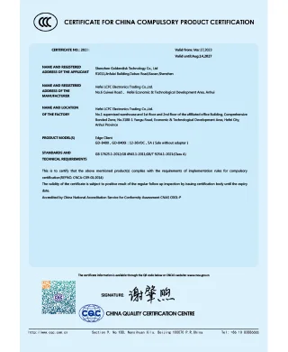 Company Overview - LCFC (Hefei) Electronics Technology Co., Ltd.