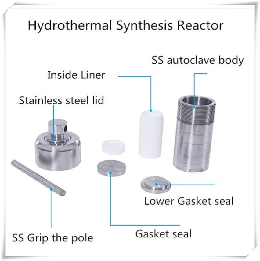 100ml PTFE Lined Hydrothermal Synthesis Autoclave Reactor