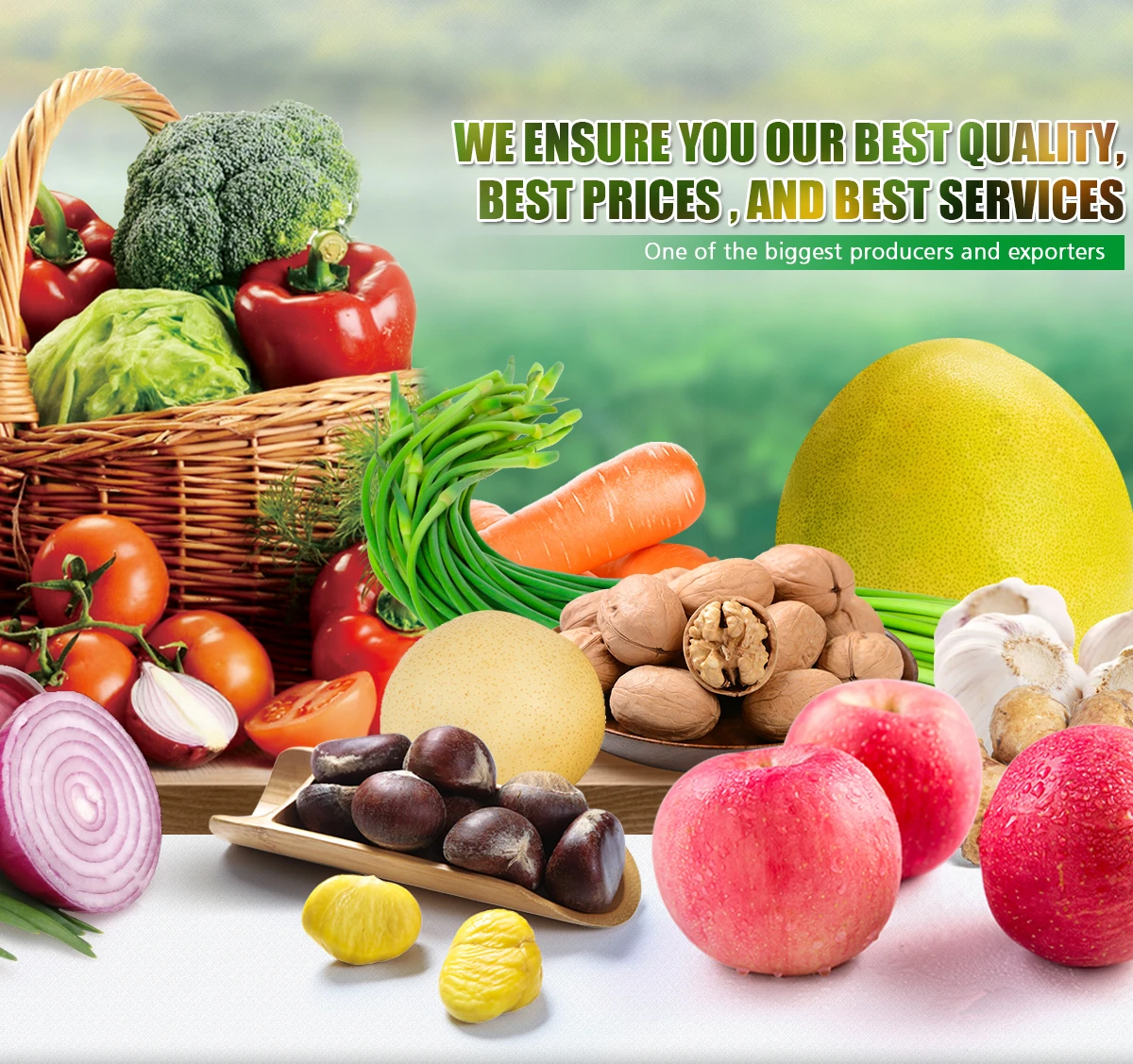 Jining New Silk Road Food Co., Ltd.