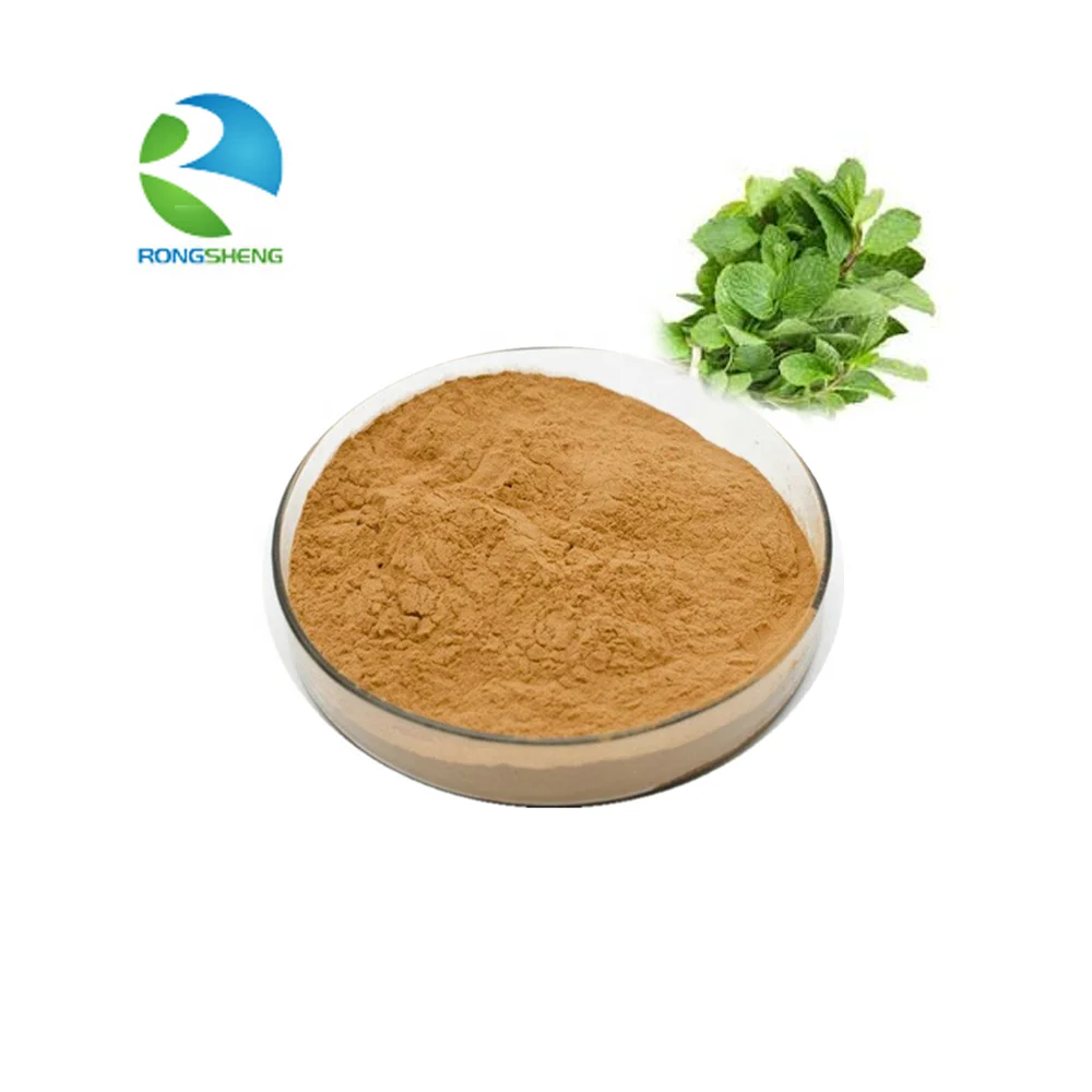 Best Quality Eucalyptus Peppermint Extract Mint Extract Powder - Buy ...