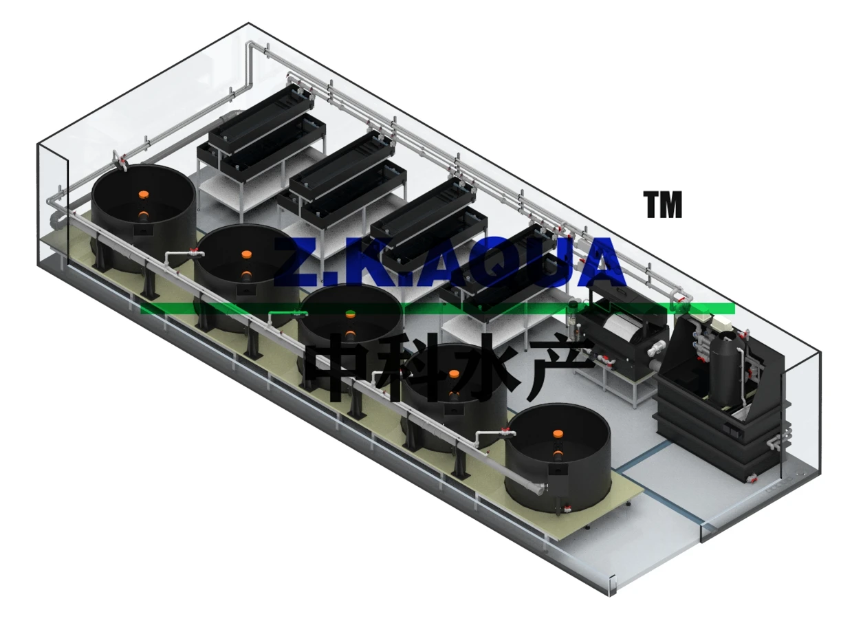 High Quality Small Ras Fishing Simple System Fish Farming Manufacturer ...
