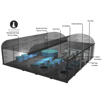 Layout Design For Fish Farm Modern Recirculating Aquaculture System ...