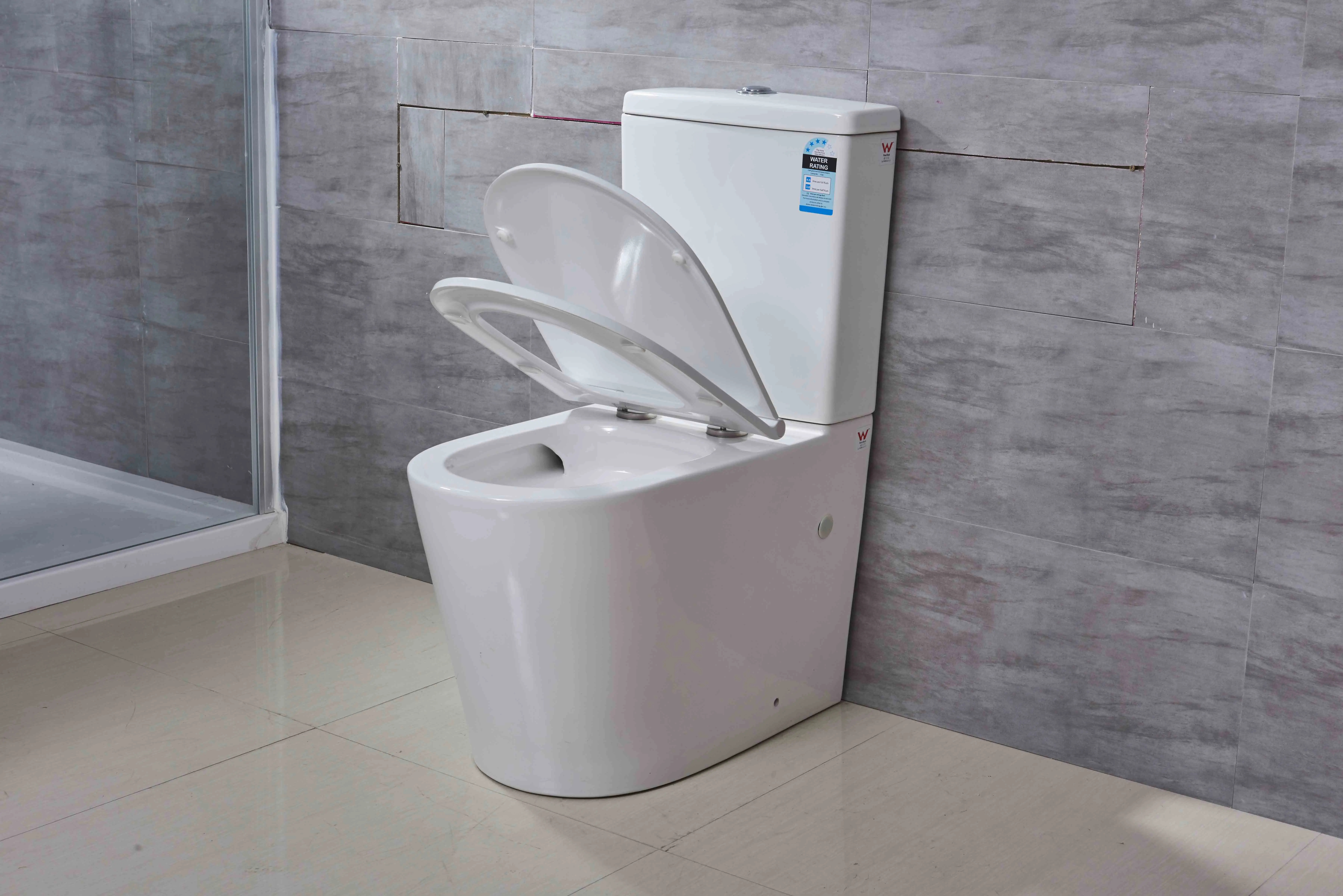 Australian Standard Toilet Watermark - Dual-Flush Ceramic