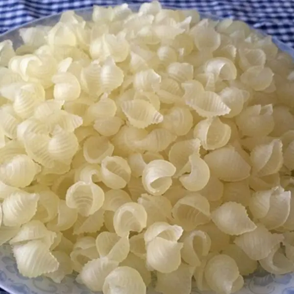 Stainless Steel Double Screw Extruder - Instant Pasta Maker