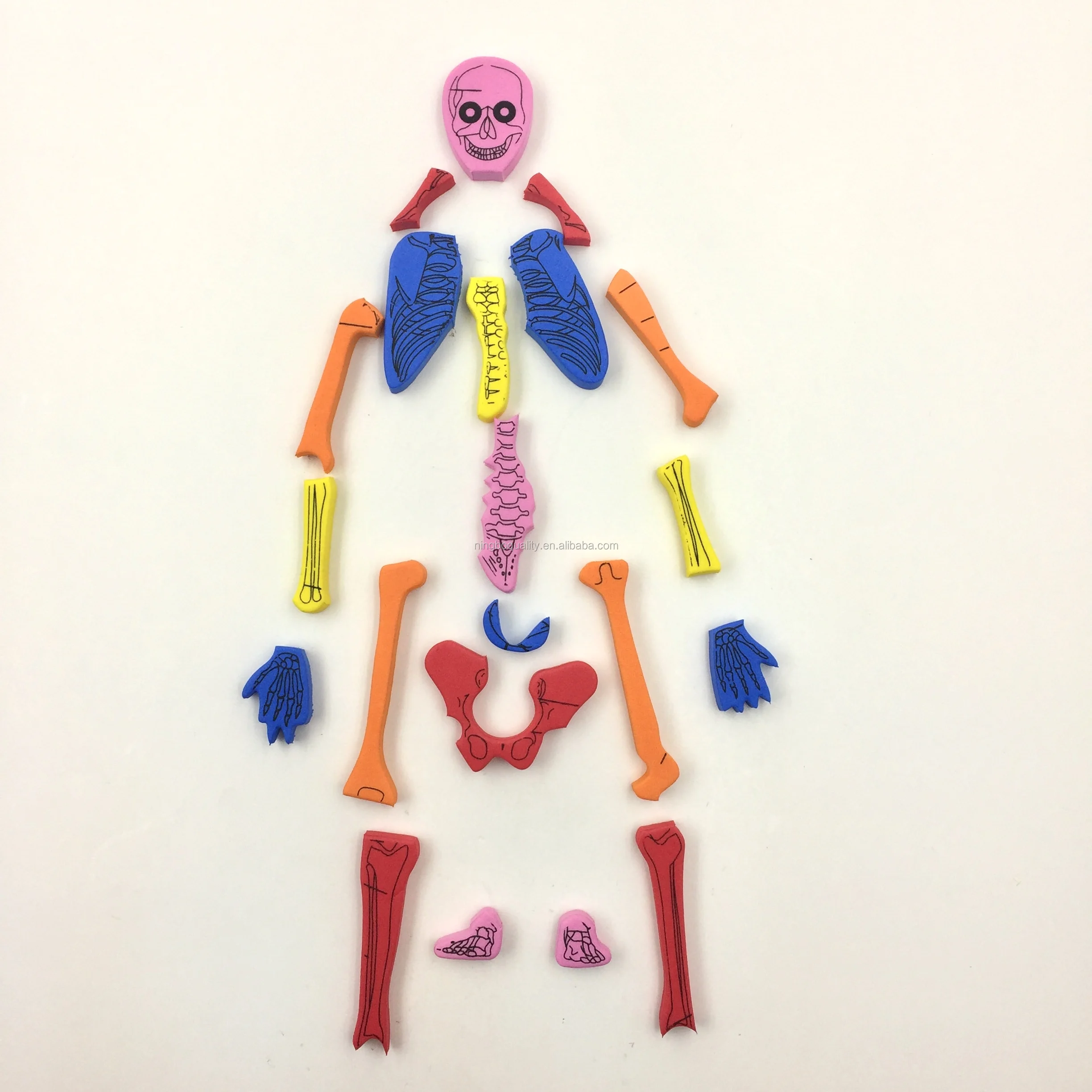 High Quality Skeleton Eva 3d Educational Jigsaw Foam Puzzle For Kids ...