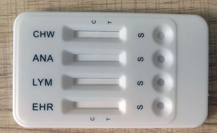 Ehrlichia Rapid Test Kits - Accurate Diagnosis in 5-10 Minutes