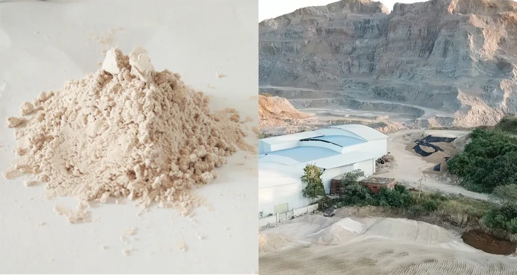 Montmorillonite Clay Use As Mycotoxins Binder in Feed Additives ...