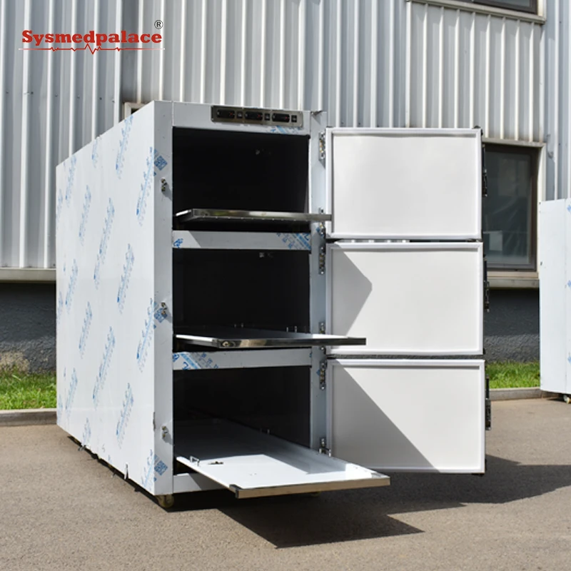 Mortuary Refrigerator - Cadaver Freezer Price, 304 Stainless Steel ...