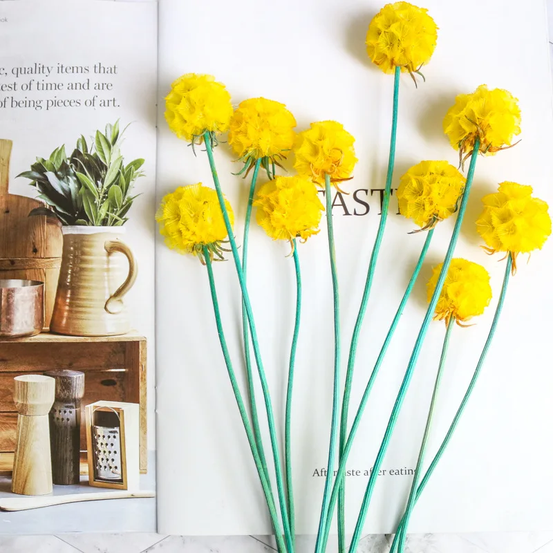 Preserved Flower Windmill Fruit Wholesale Preserved Foliage Preserved ...