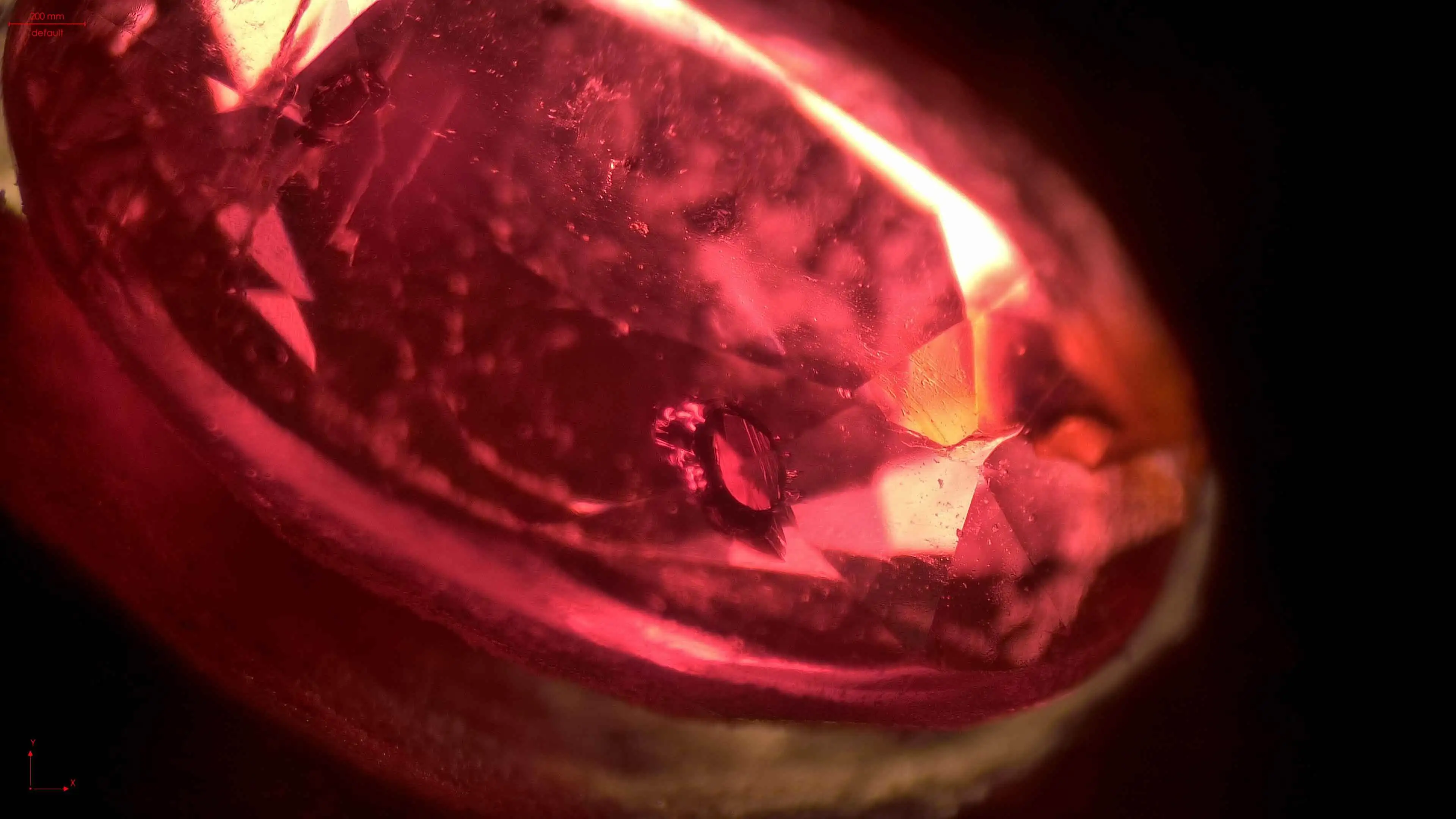 VGM650A Gemological Microscope - Advanced Zoom & Trinocular