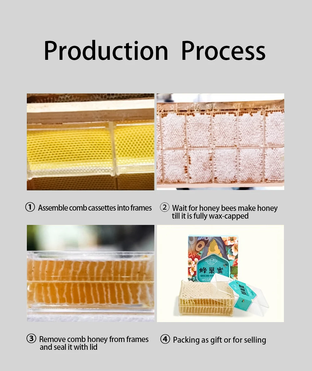 250g Plastic Comb Honey Frames and Cassettes Set for Beekeeping
