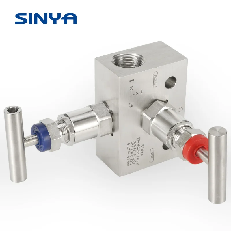 Duplex Steel Two Valve Instrumentation - Durable Manifolds