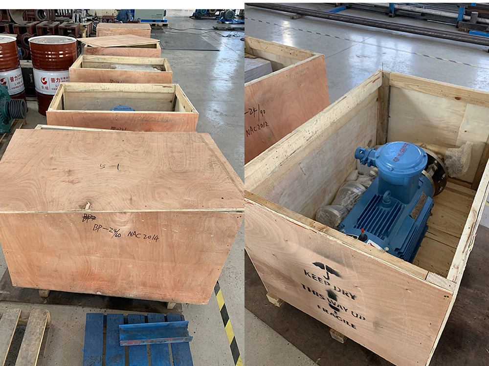 Lng Unloading Pump for Cng Gas Filling Station - 1 Year Warranty