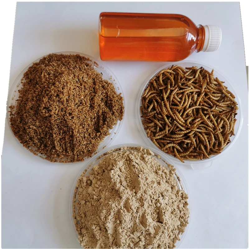 Edible Defatted Insect Protein Powder Like Cricket Protein Powder As ...