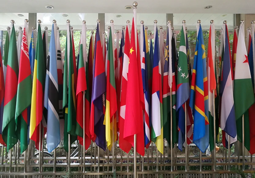 Promotional Advertising Flag 3x5ft Polyester Cotton Customized Flags ...