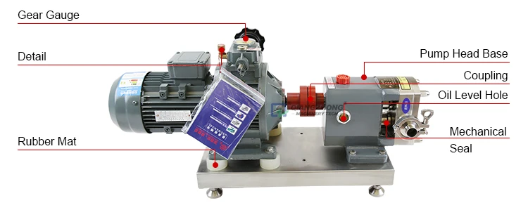 Stainless Steel Tomato Paste Pump - High Viscosity Solutions