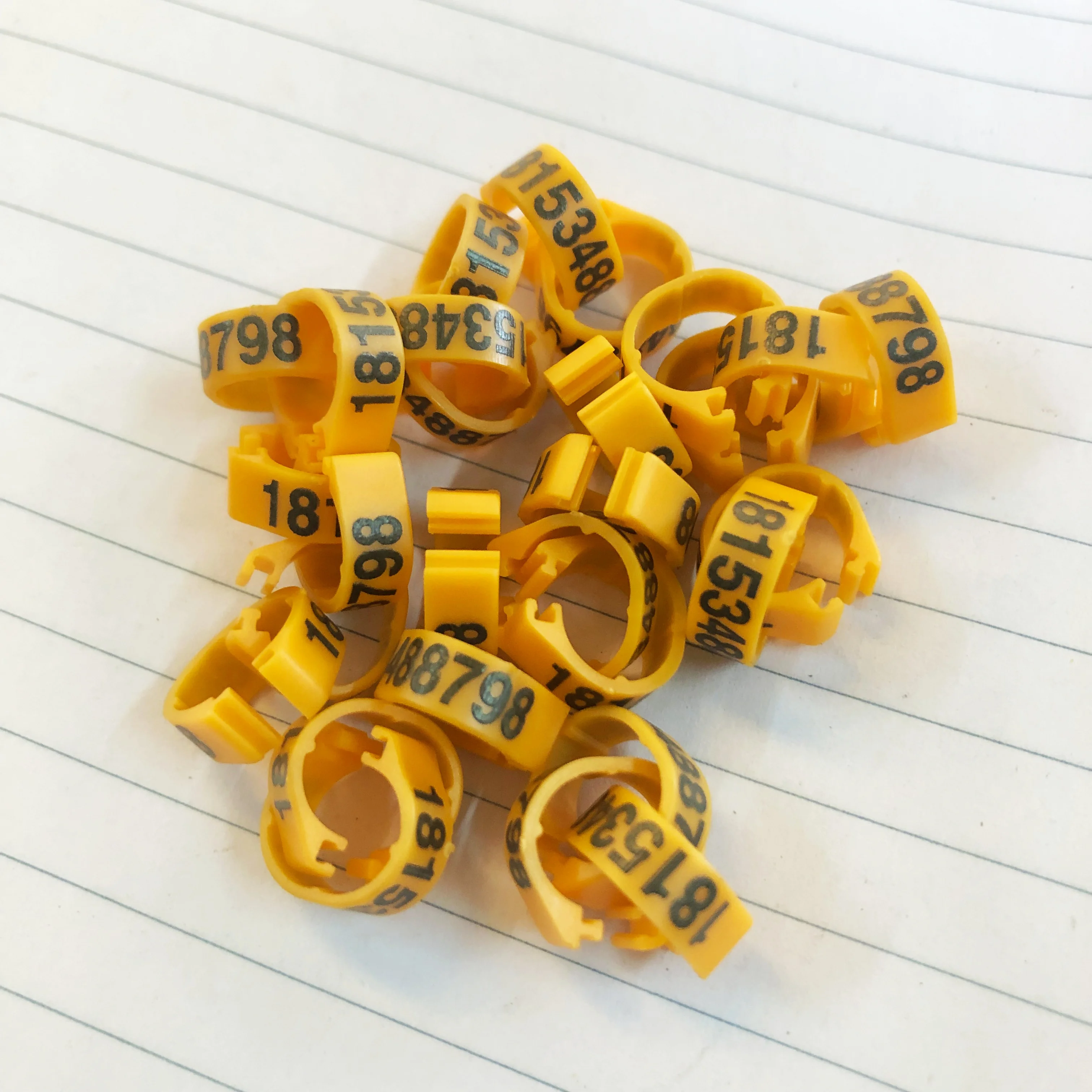 Clip Pigeon Race Racing Plastic Ring with Phone Number Symbol