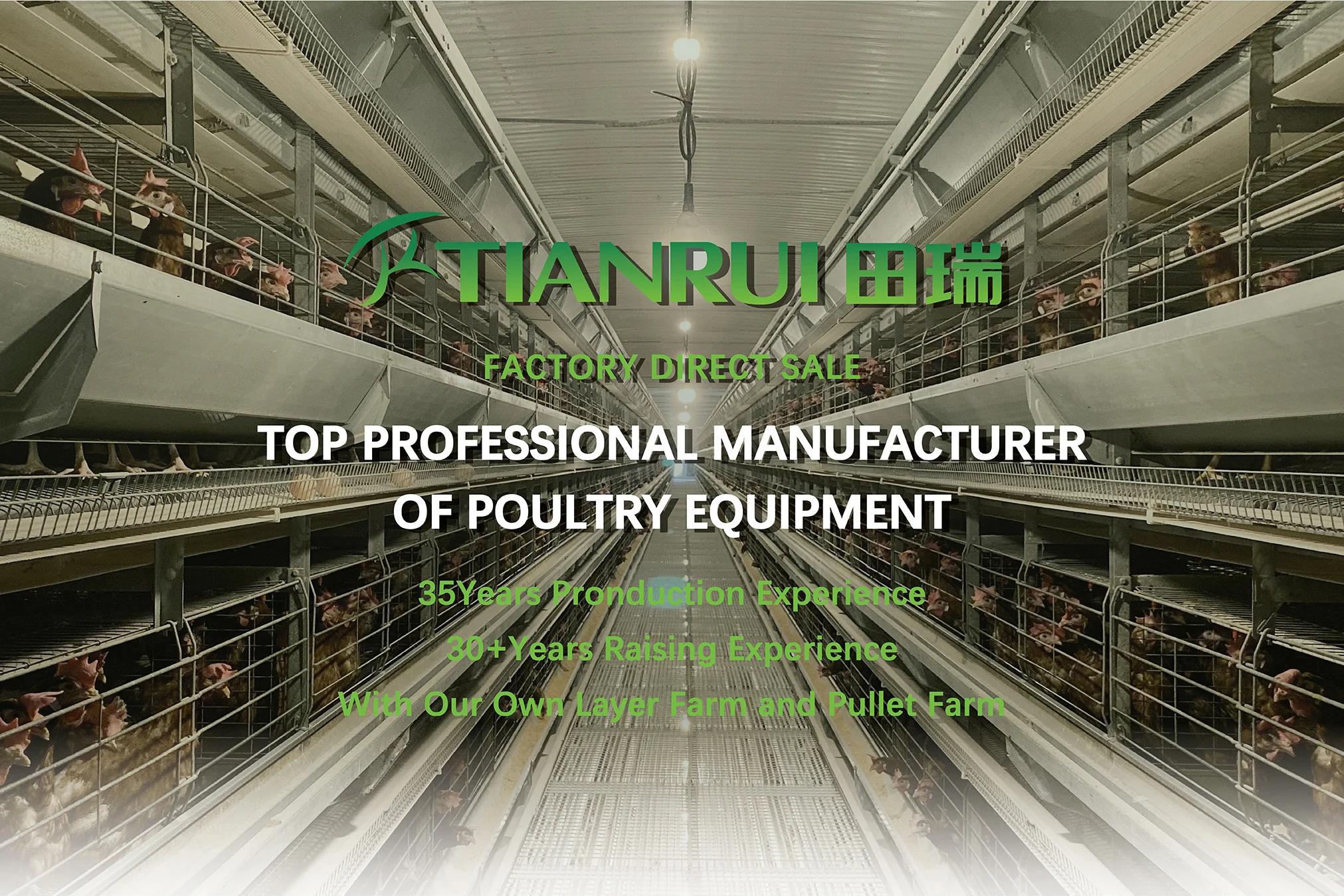 Qingdao Tianrui Technology Group Co., Ltd.