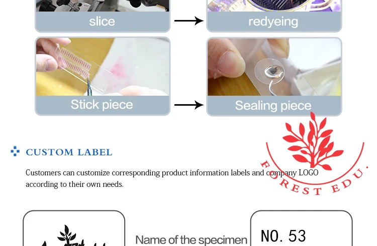 Human Pathology Slides - Educational Tools for Medical Students