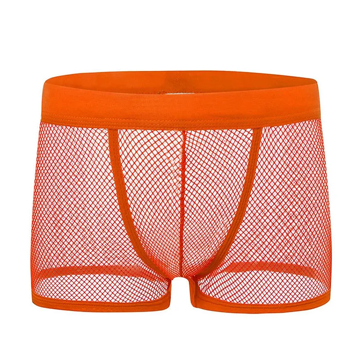 Sexy Men's Underwear - Transparent Mesh Boxer Briefs