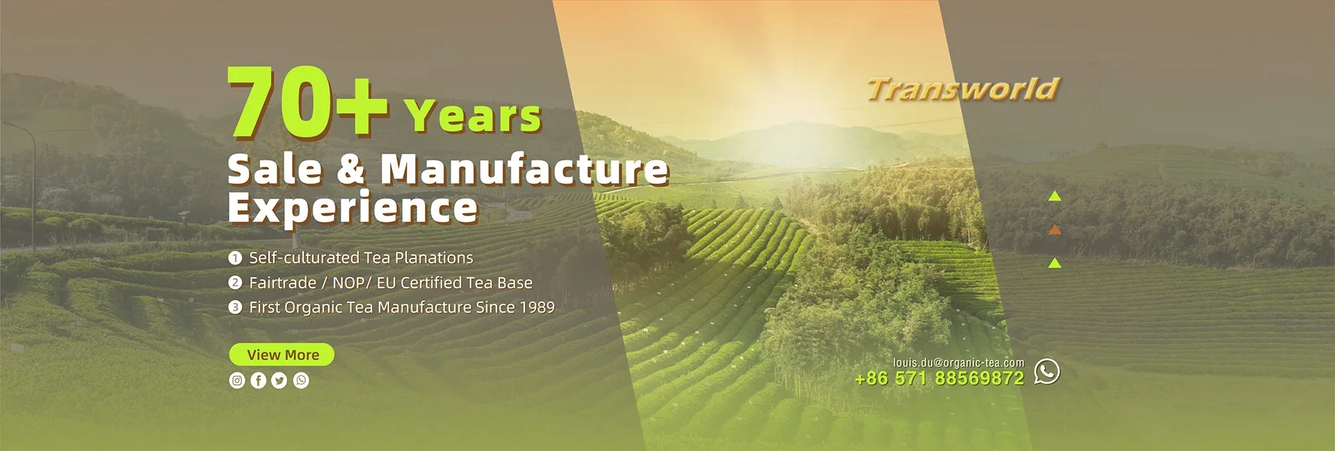 Zhejiang Camel Transworld (Organic Food) Co., Ltd. - ORGANIC TEA ...